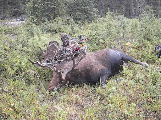 TRADITIONAL BOW POPE & YOUNG BC MOOSE | Bloodydecks